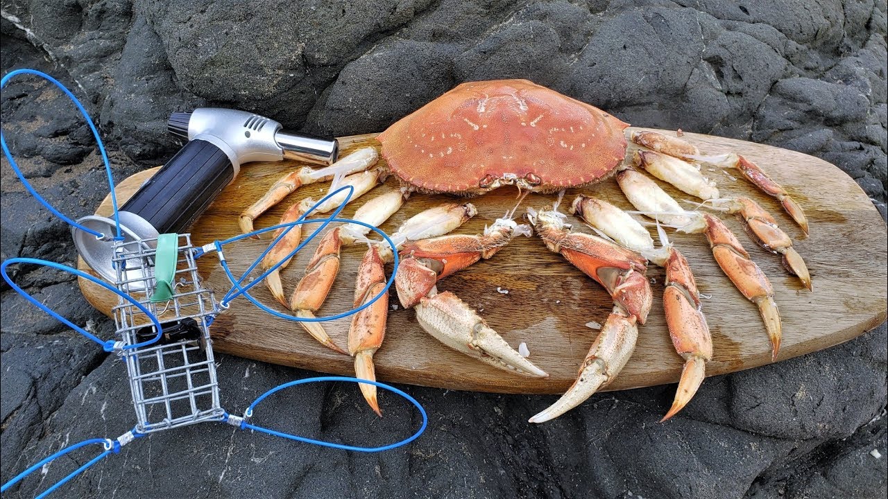 Crusted caramelized crab legs: catch and cook recipe!