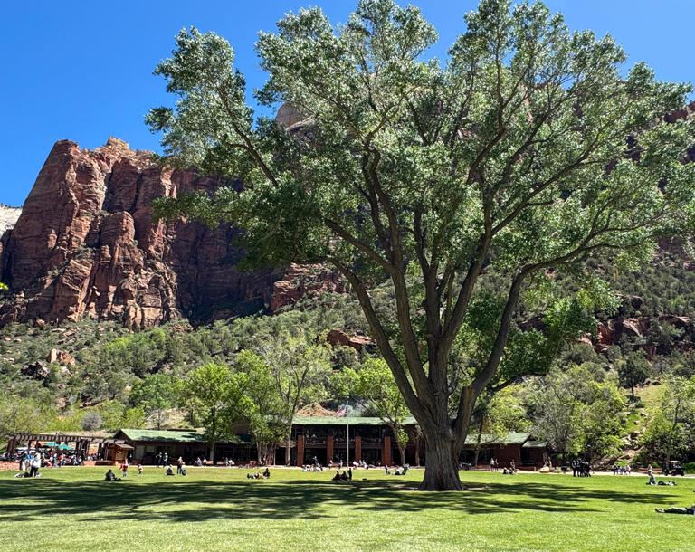 100 years of awe: Why Zion Lodge still anchors the park experience