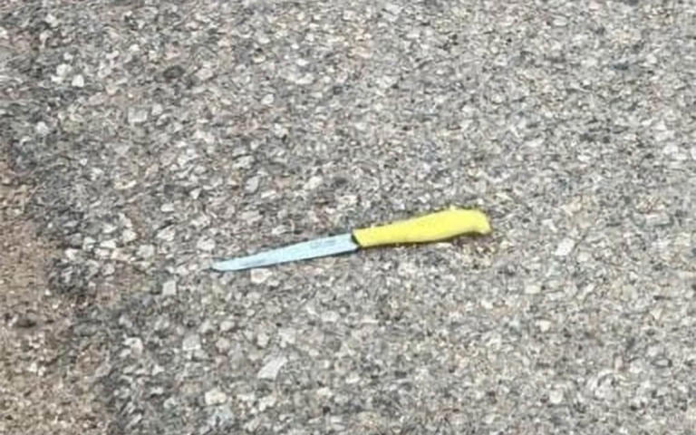 Palestinian armed with knife breaches West Bank settlement, is shot ...