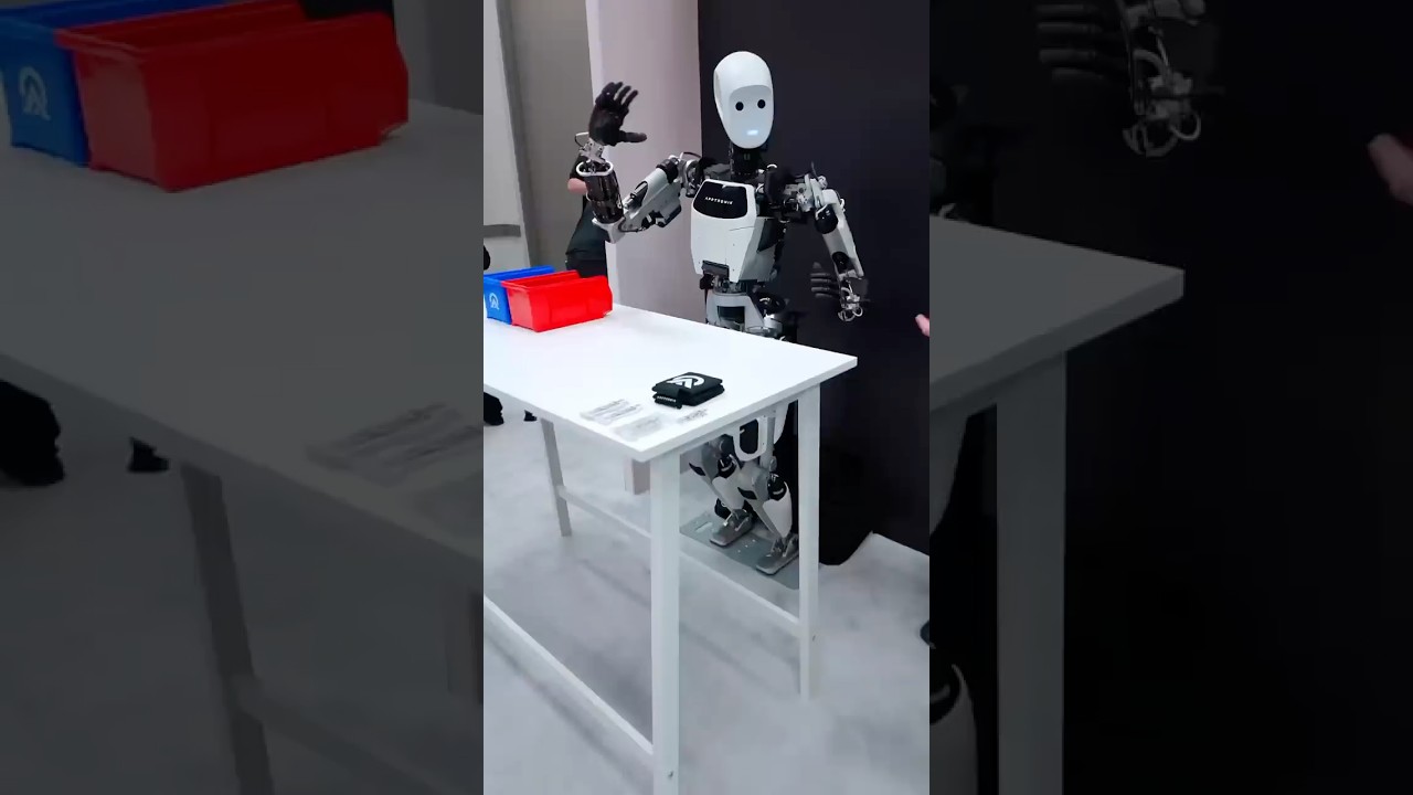 What can a humanoid robot do for you?
