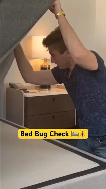 Always check for bed bugs! 🛌🪳