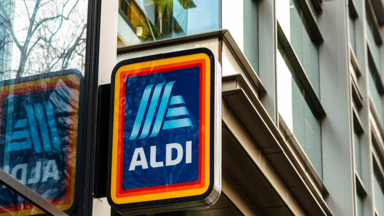 Aldi’s $7 pet find turns any patch of grass into a high-energy training ...