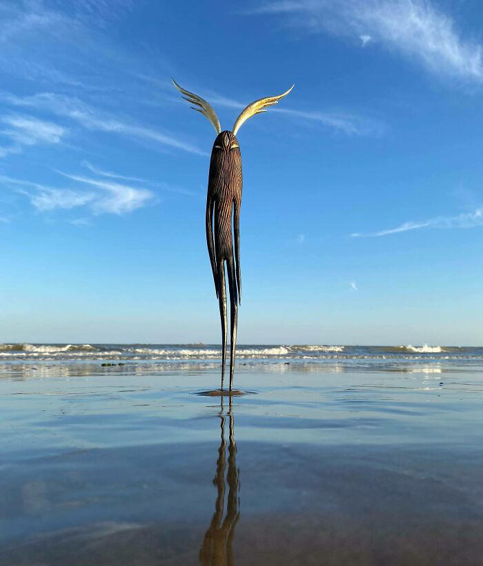 54 extraordinary wood sculptures inspired by nature and myth