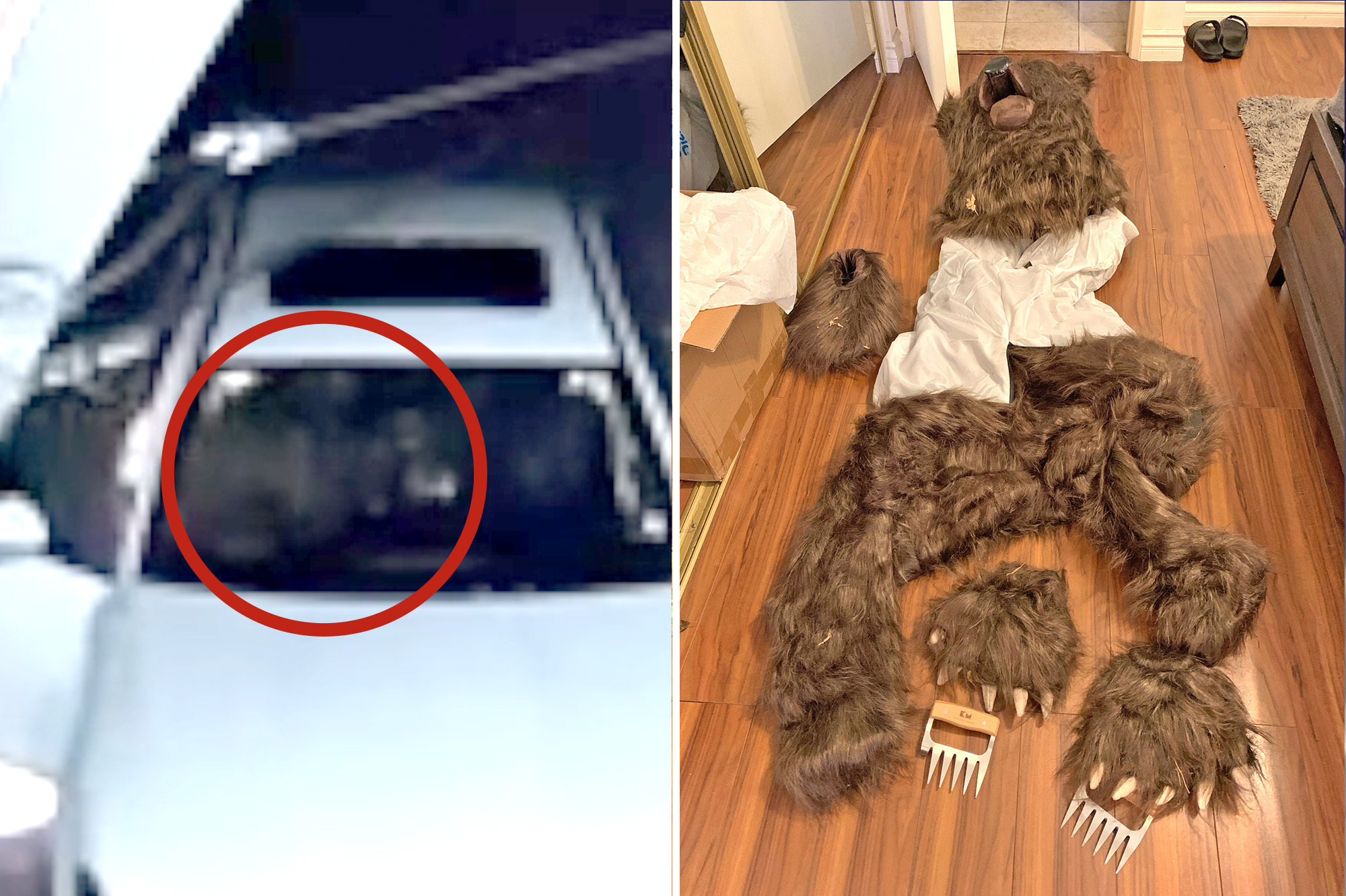 3 SoCal fraudsters learn fate in bizarre bear-attack costume scam
