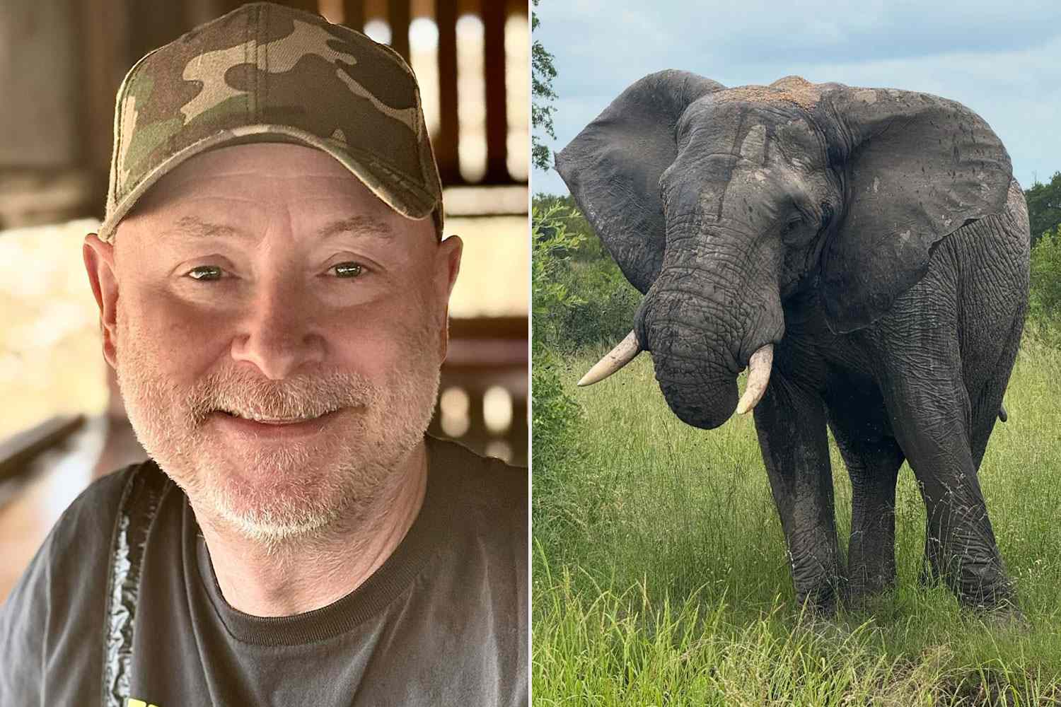Safari guide, who once said he’d ‘rather be killed by’ an elephant than ...