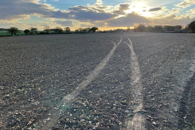 Essex farmer fears hare coursers after being violently attacked