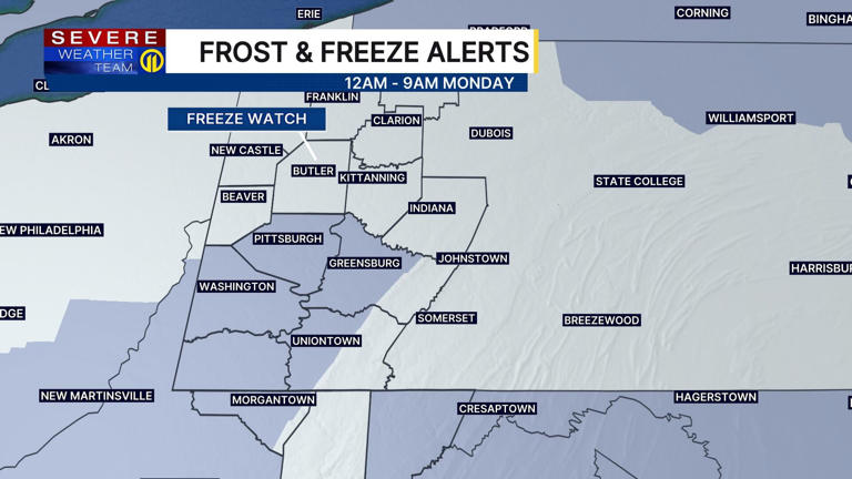 Freeze watch issued for some local counties as temperatures drop overnight