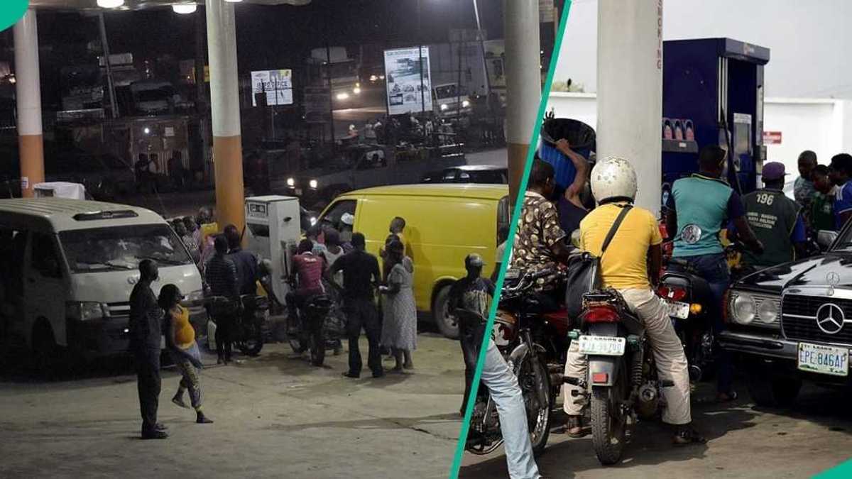 Find out more as petrol prices crash, experts share insight on new rates