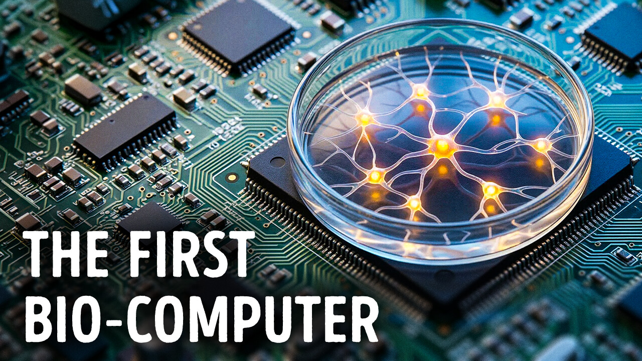 Innovative computer created with living human cells
