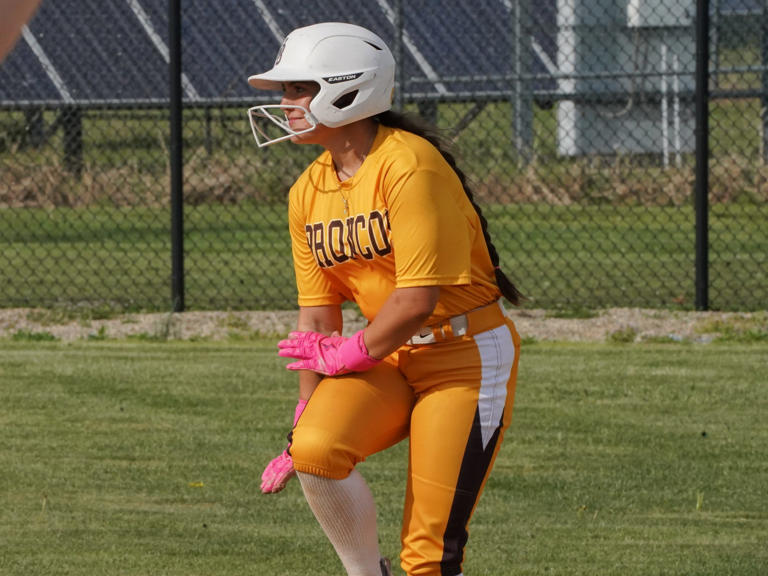 One softball team has a chance at OHSAA Final 4. Who's still alive?