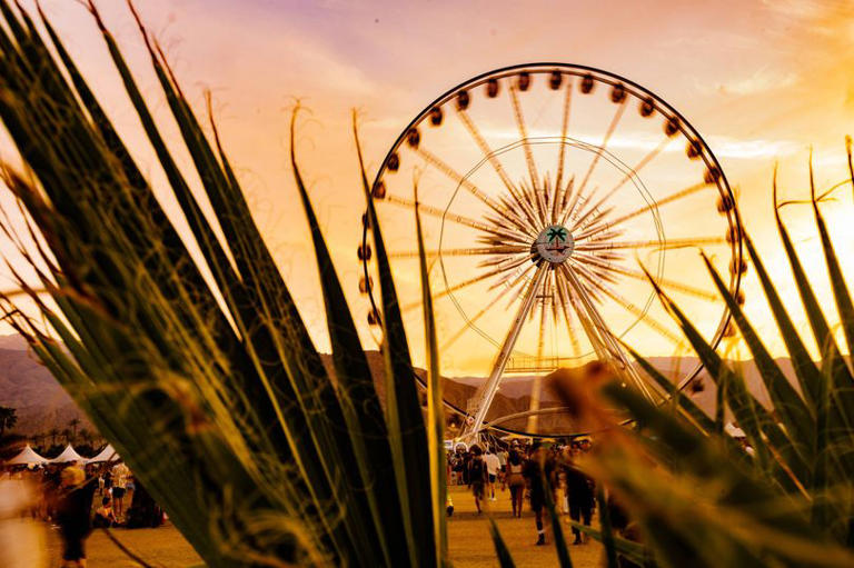 Coachella charging eye-watering amount for chicken nuggets with caviar