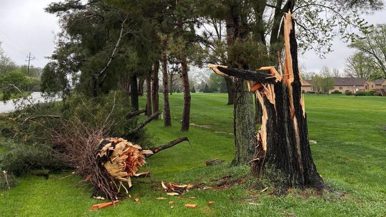 Severe storms down trees, power poles in Marshall County
