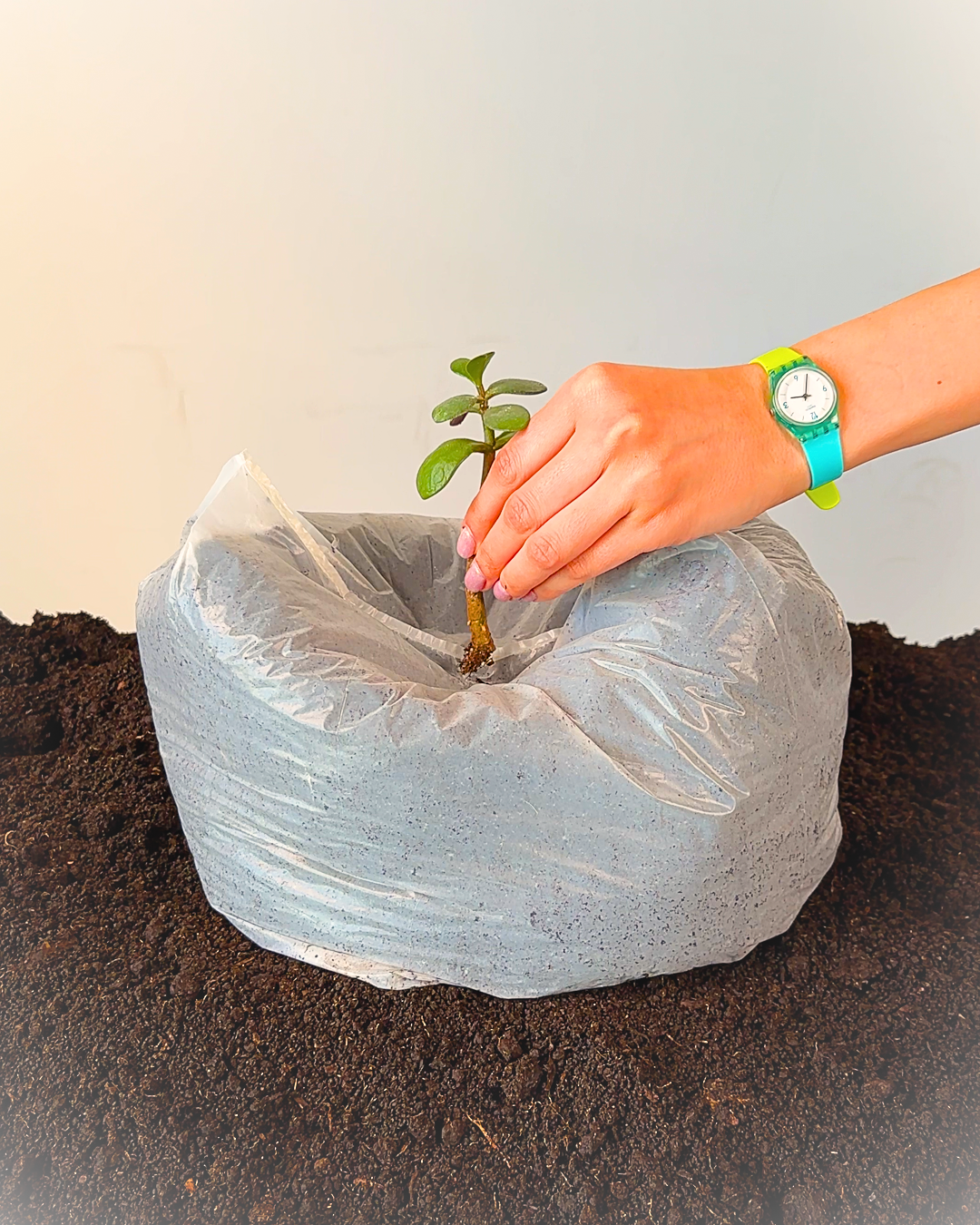 Inverted soil bag seedling hack🌱