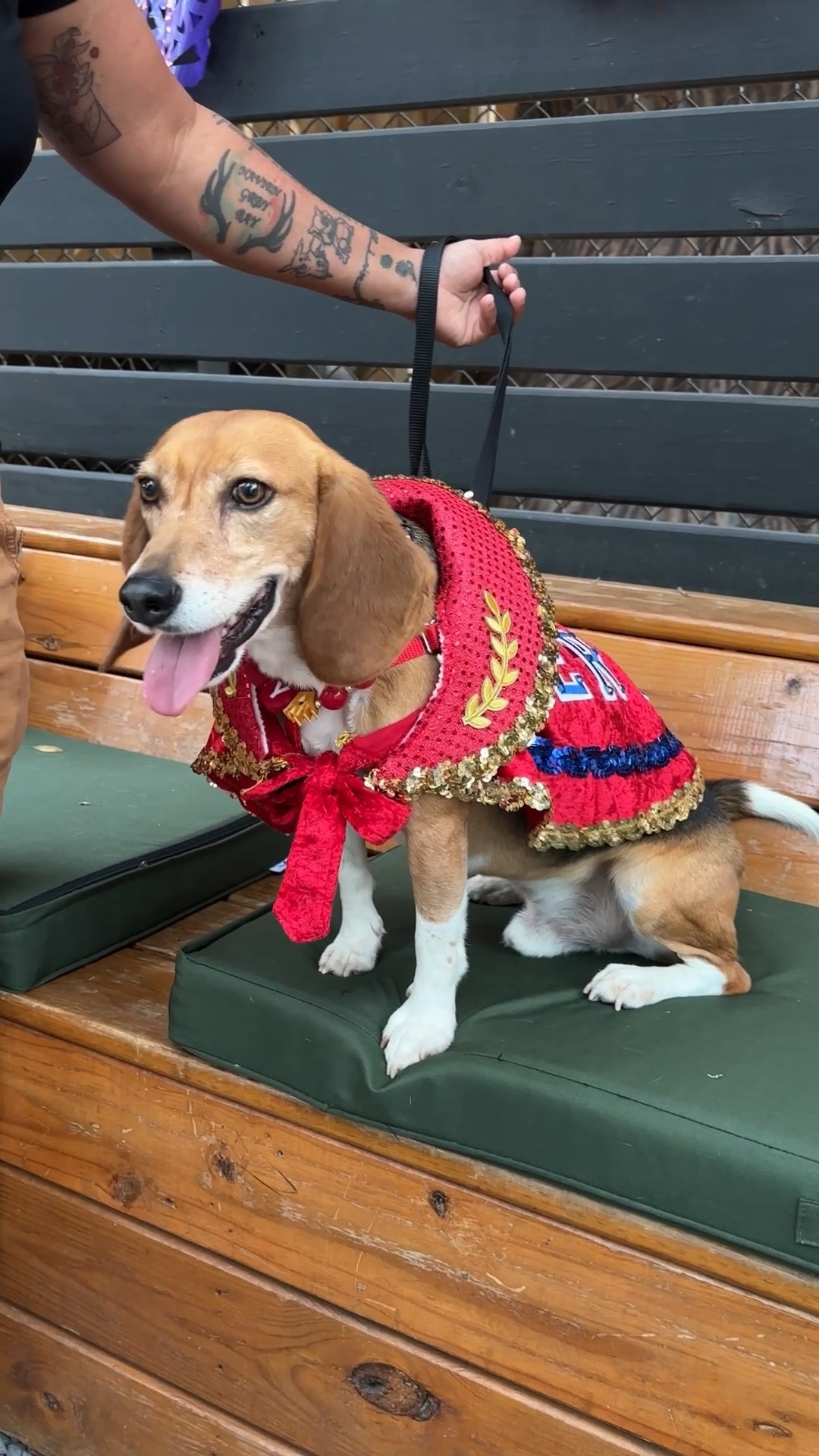 El Rey Fido