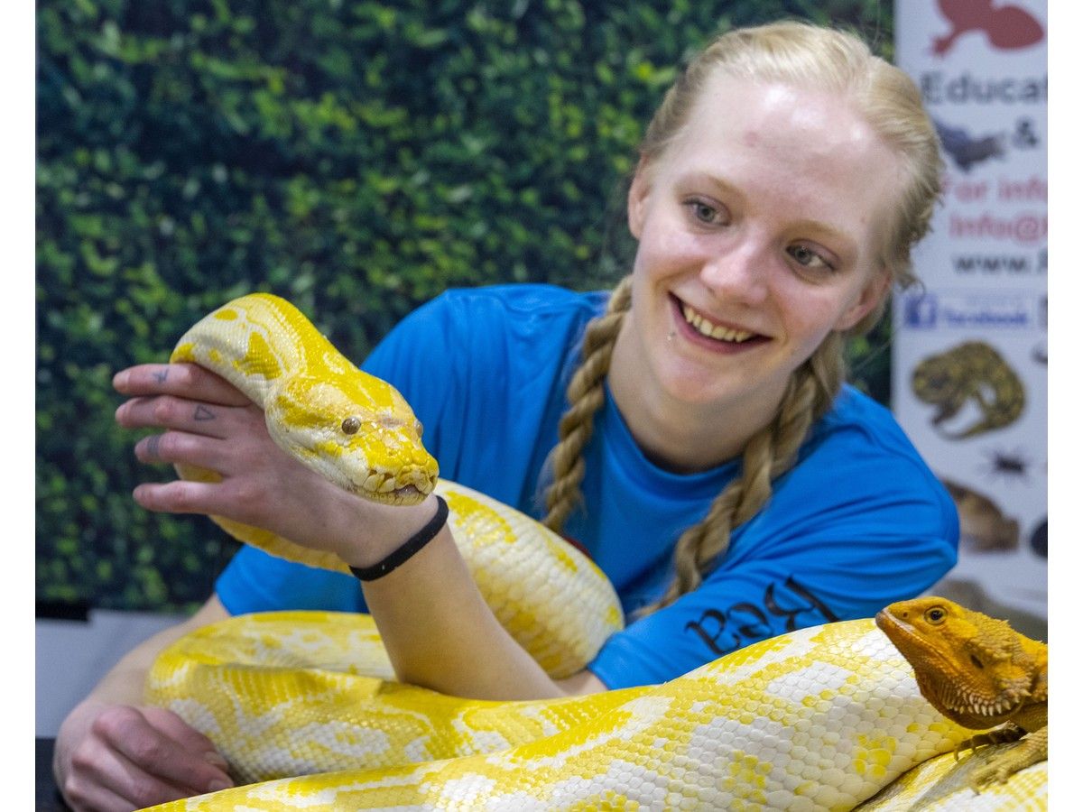 Wide world of pets on display this weekend at Reptile Expo and Calgary ...