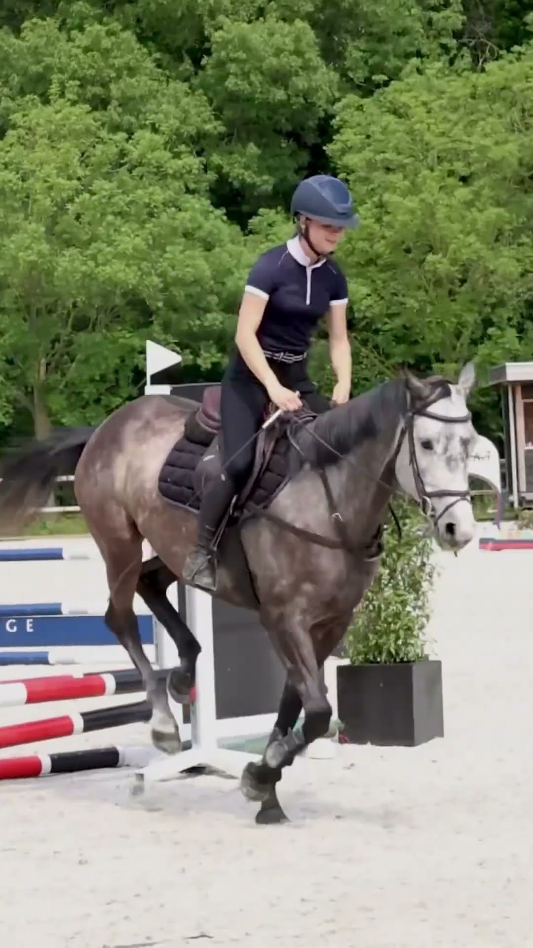 Een jong paard ontwikkelen voor het springen