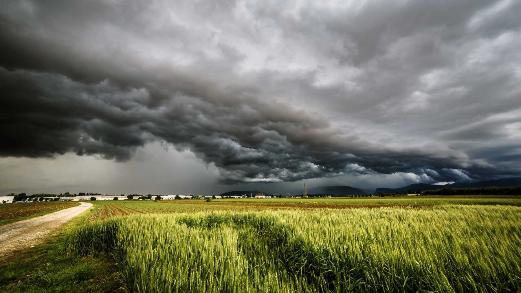 Meteored lo confirma y es oficial: el domingo las tormentas se ...