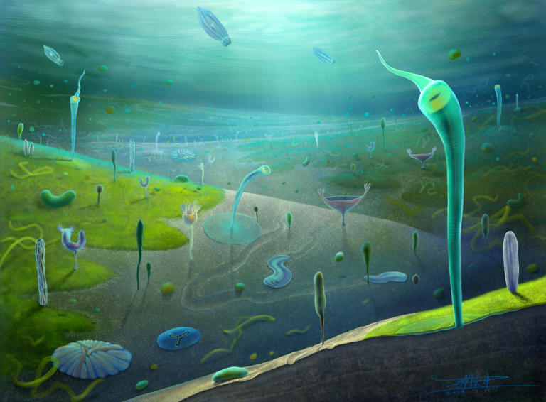 🌍 Before the "origin", an ancient and structured strange life had ...