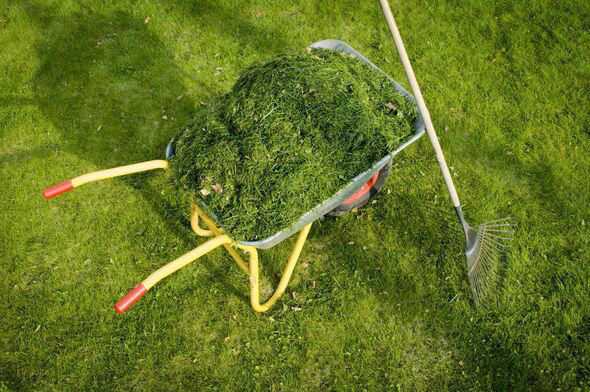 Gardeners urged to keep hold of grass clippings for 1 reason