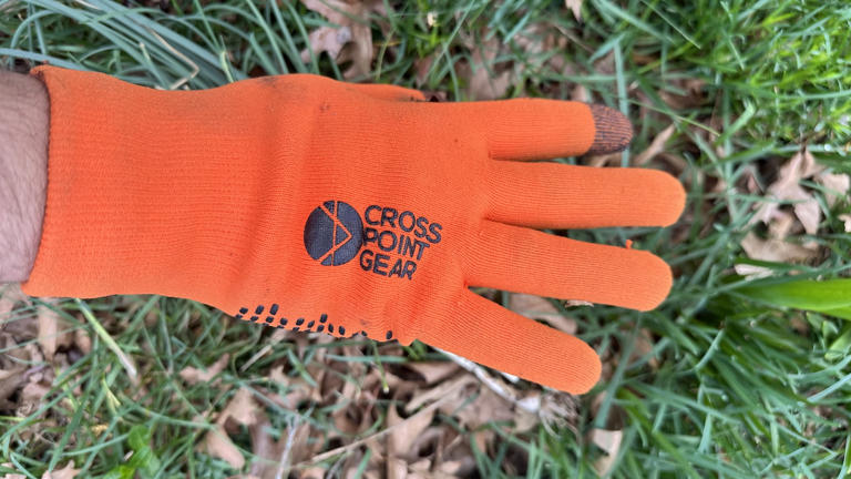 I've been using these waterproof gloves for a month in my garden — here ...