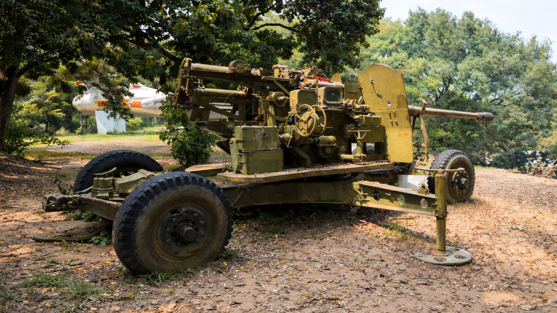An abandoned war cannon hidden in plain sight for years