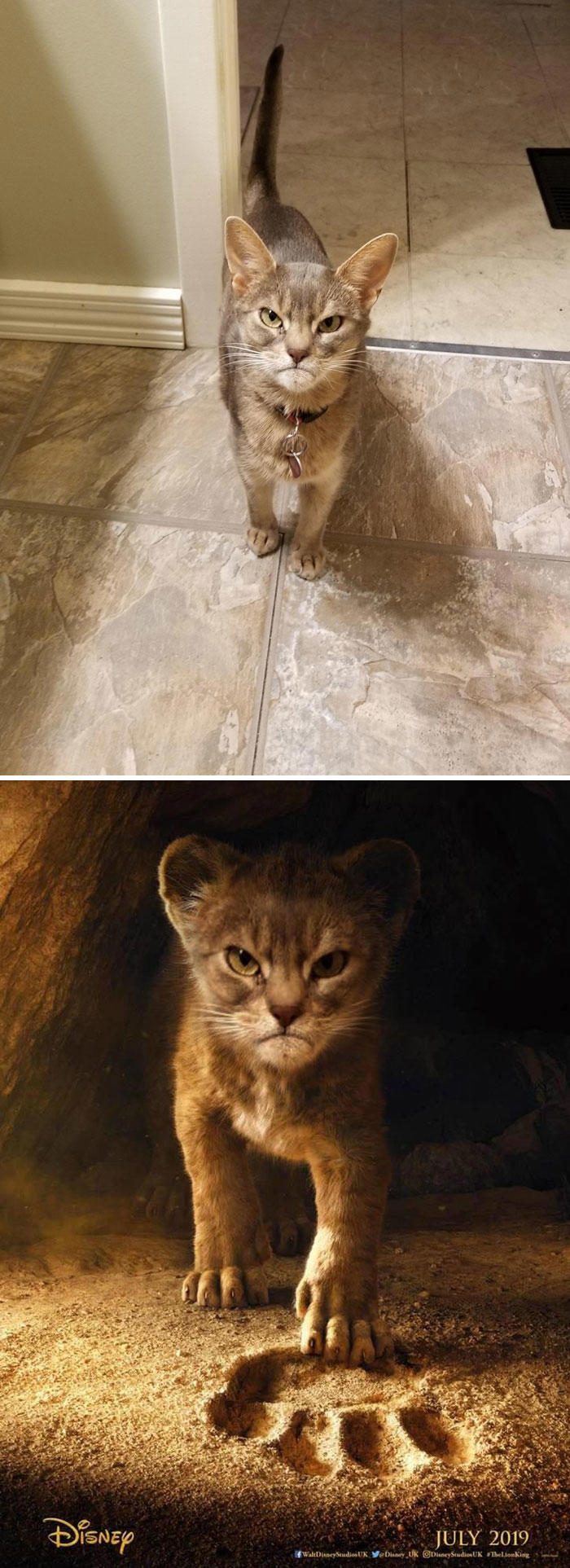 38 times Photoshop battles produced incredible winners