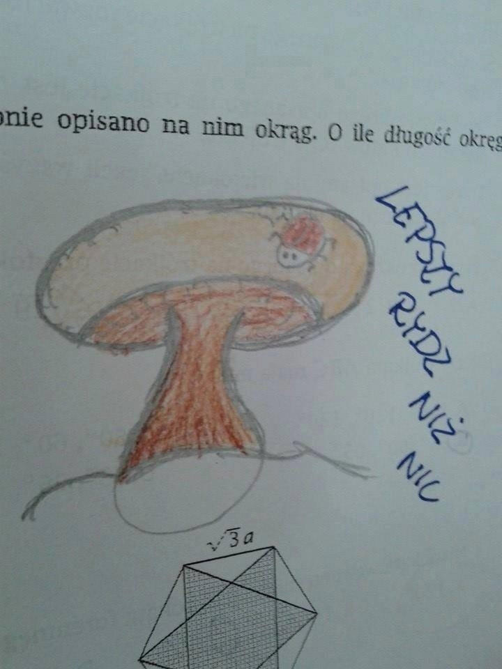To najlepsze hity ze szkolnych sprawdzianów i klasówek! Uczniowie ...