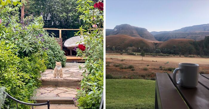 My dad’s reading chair: 28 cozy places people have seen