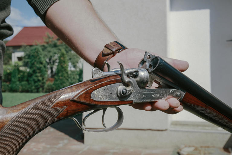 The Collector Guns People Wildly Overvalue
