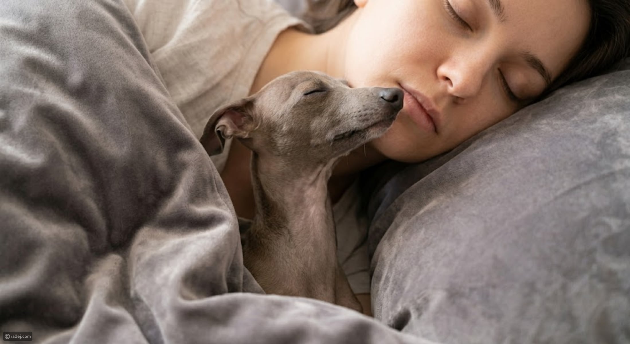 Top 10 dog breeds that love sleeping near their owners