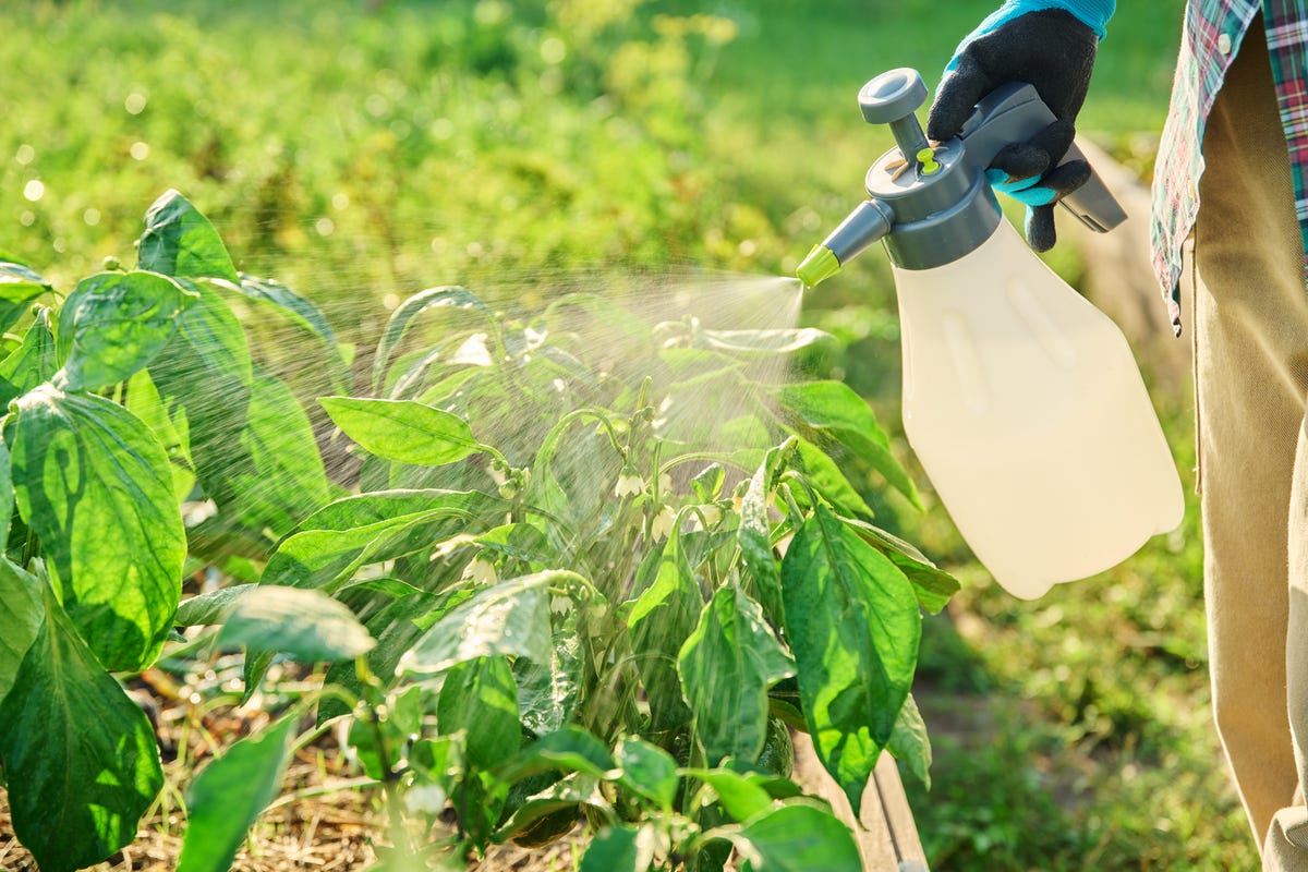 10 things organizers want you to toss from your backyard shed