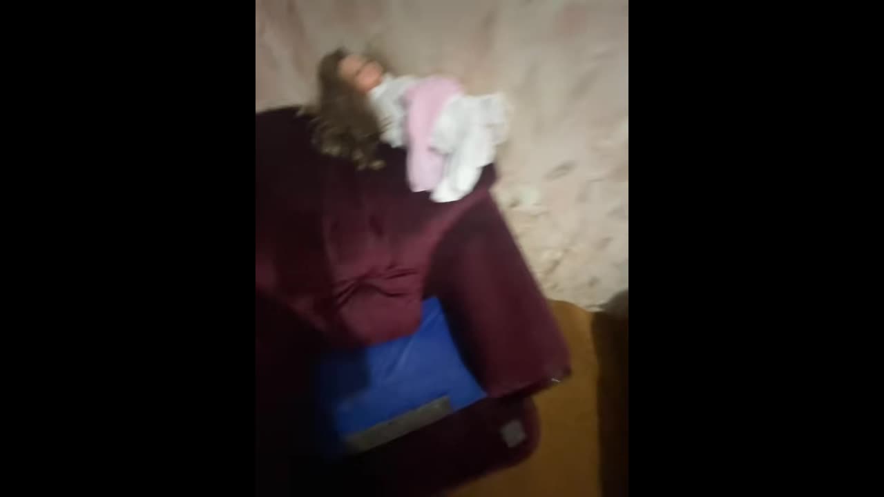 Cat jumps from chair and dashes under bed in Vladivostok, Russia