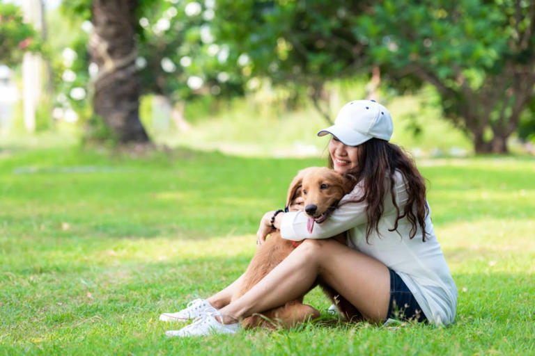 Yes, mosquitoes can bite dogs: Here's what pet owners need to know