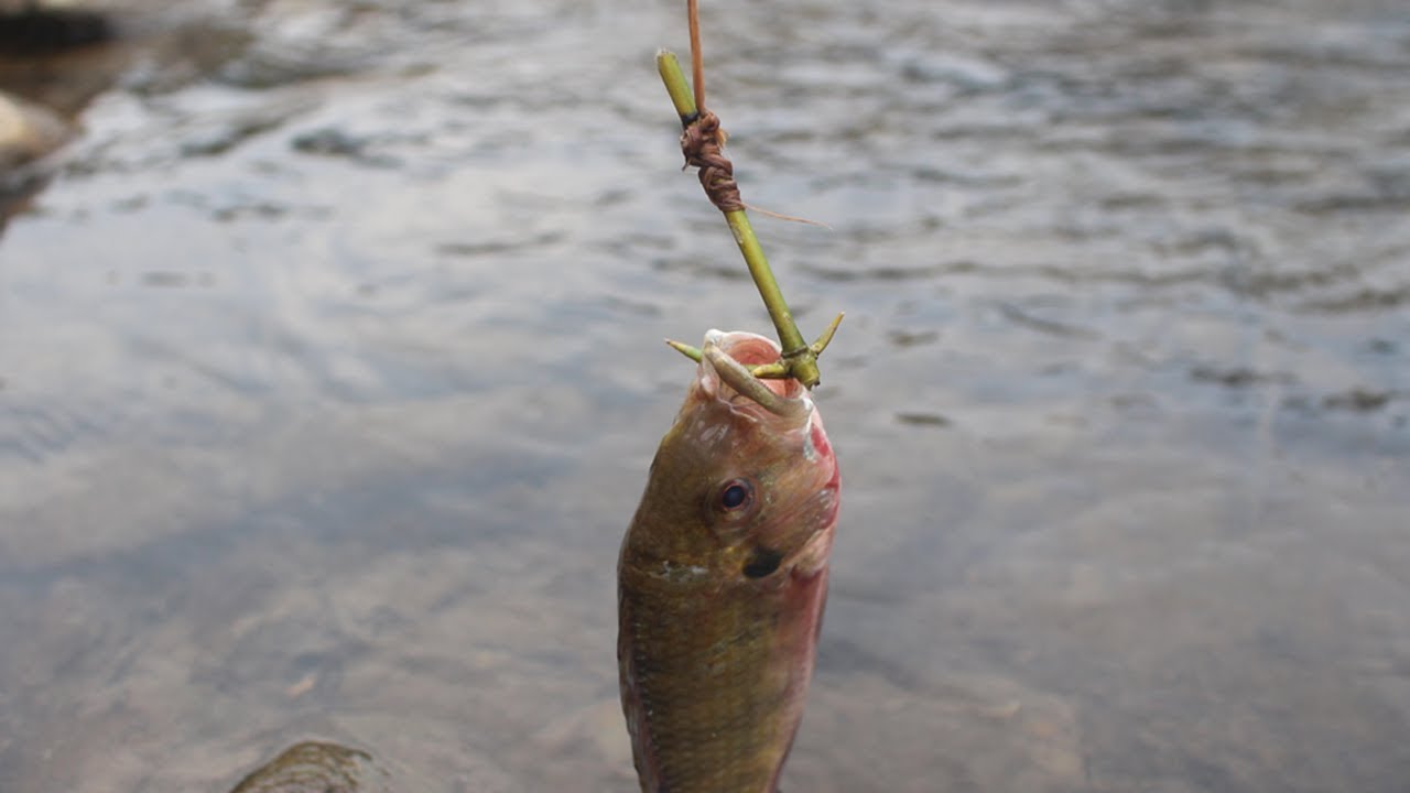 Primitive fish traps made easy