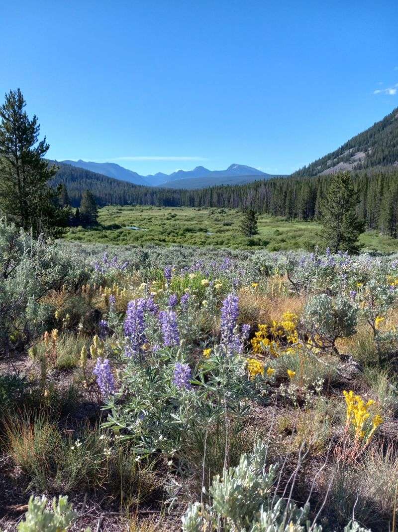 How Montana’s landscape and lifestyle drew modern nomads