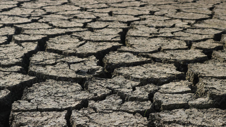 Record US drought raises wildfire risk and threatens water and food costs
