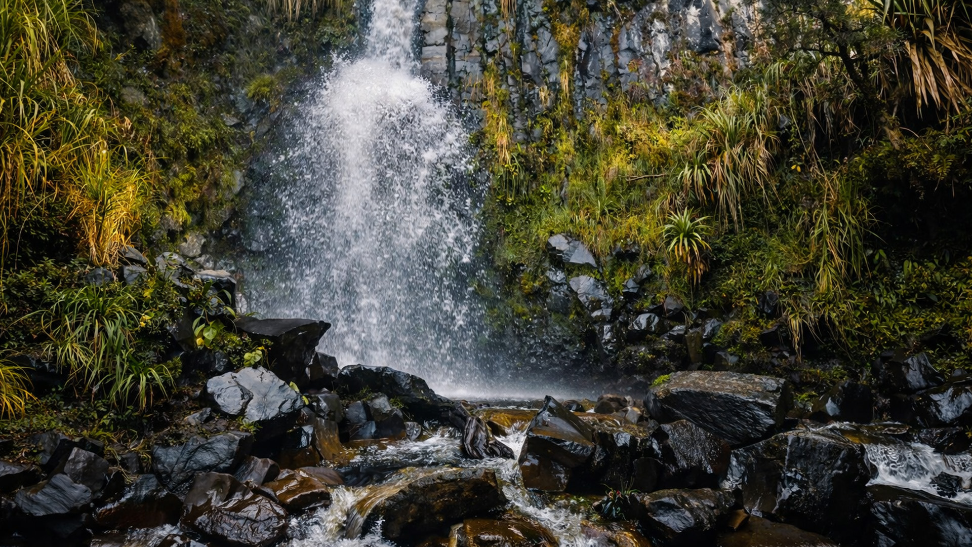 A powerful waterfall surrounded by Ecuador’s dense rainforest