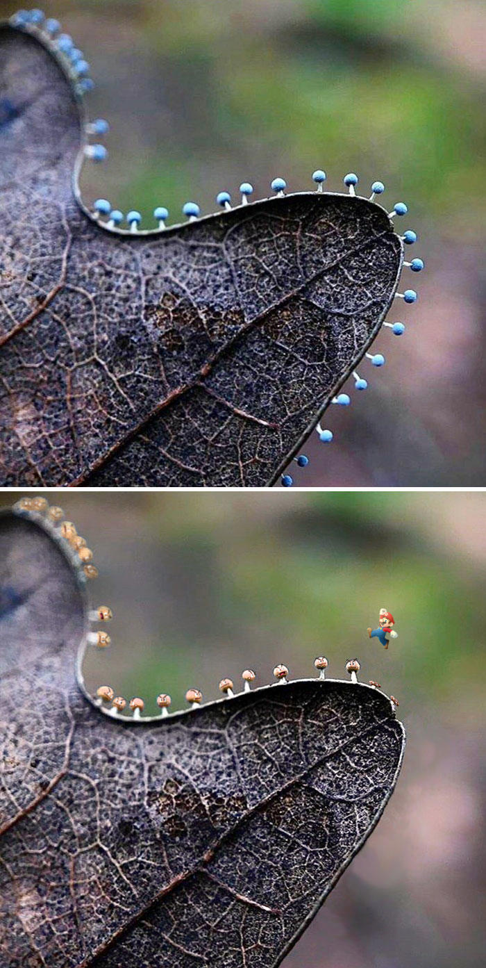 38 times Photoshop battles produced incredible winners