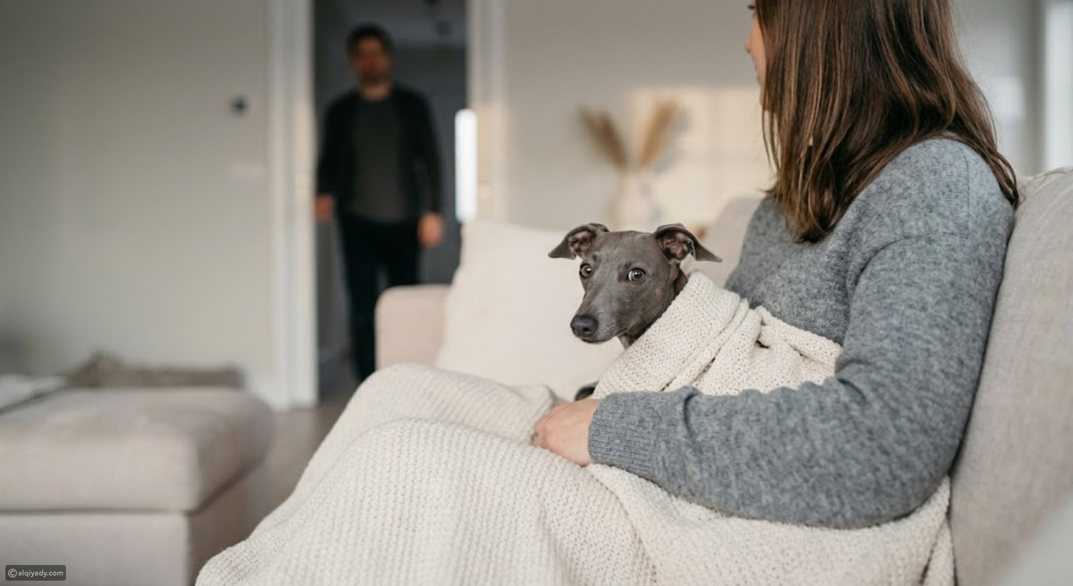 10 dog breeds that choose one person and snub the rest
