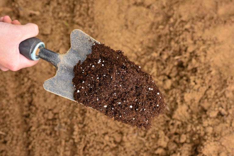 What's the difference between topsoil and garden soil?