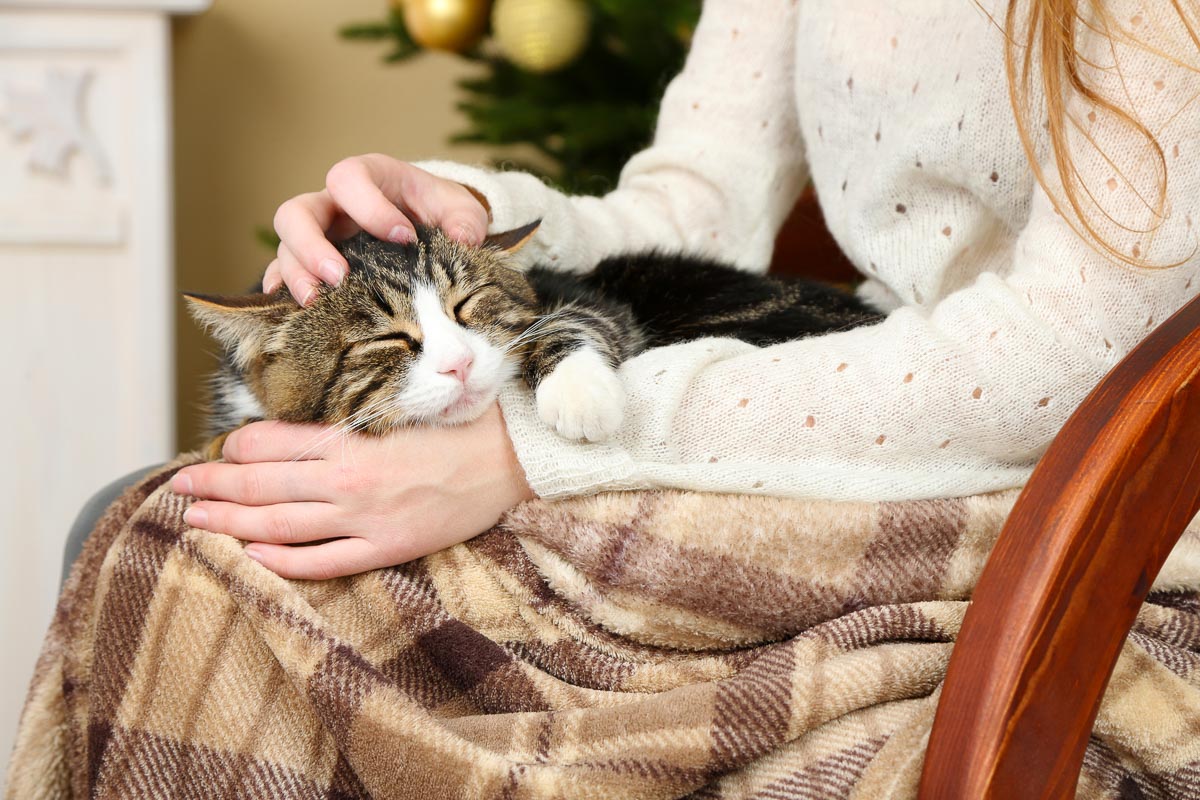 These cat behaviours look completely bizarre — but owners know exactly ...