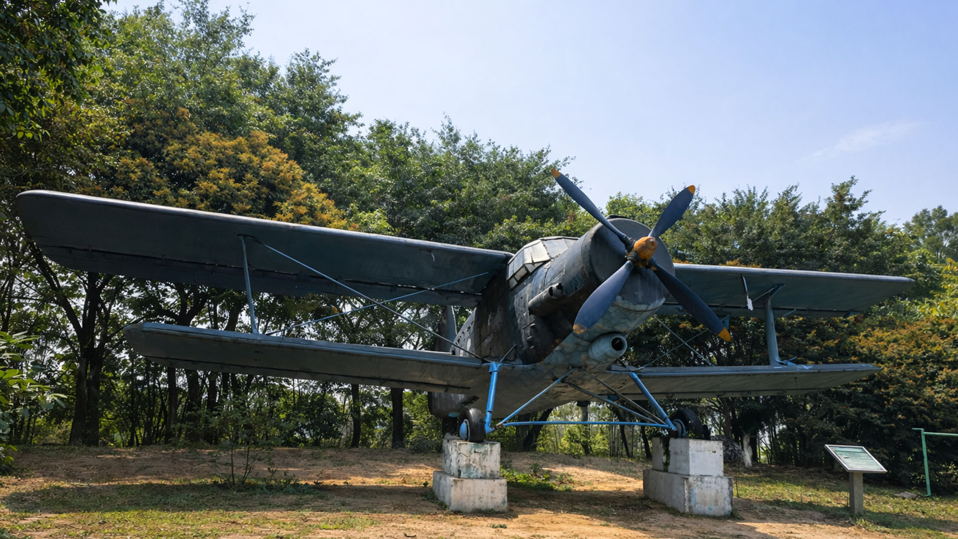 Hidden among trees this old aircraft still holds untold stories