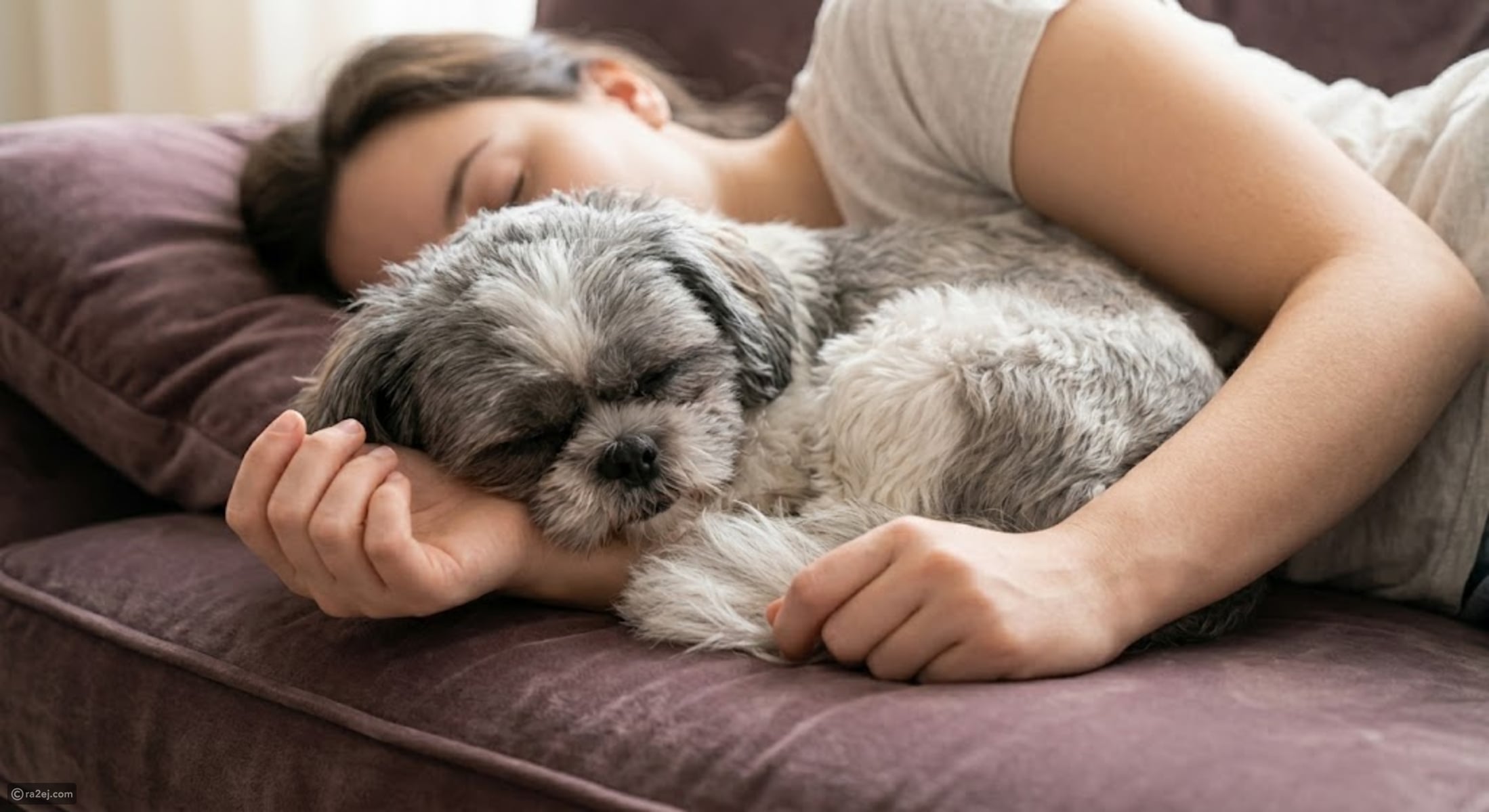 Top 10 dog breeds that love sleeping near their owners
