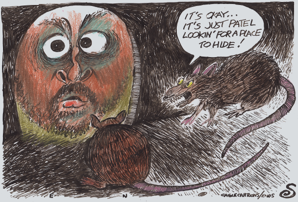 The latest political cartoons from Randall Enos