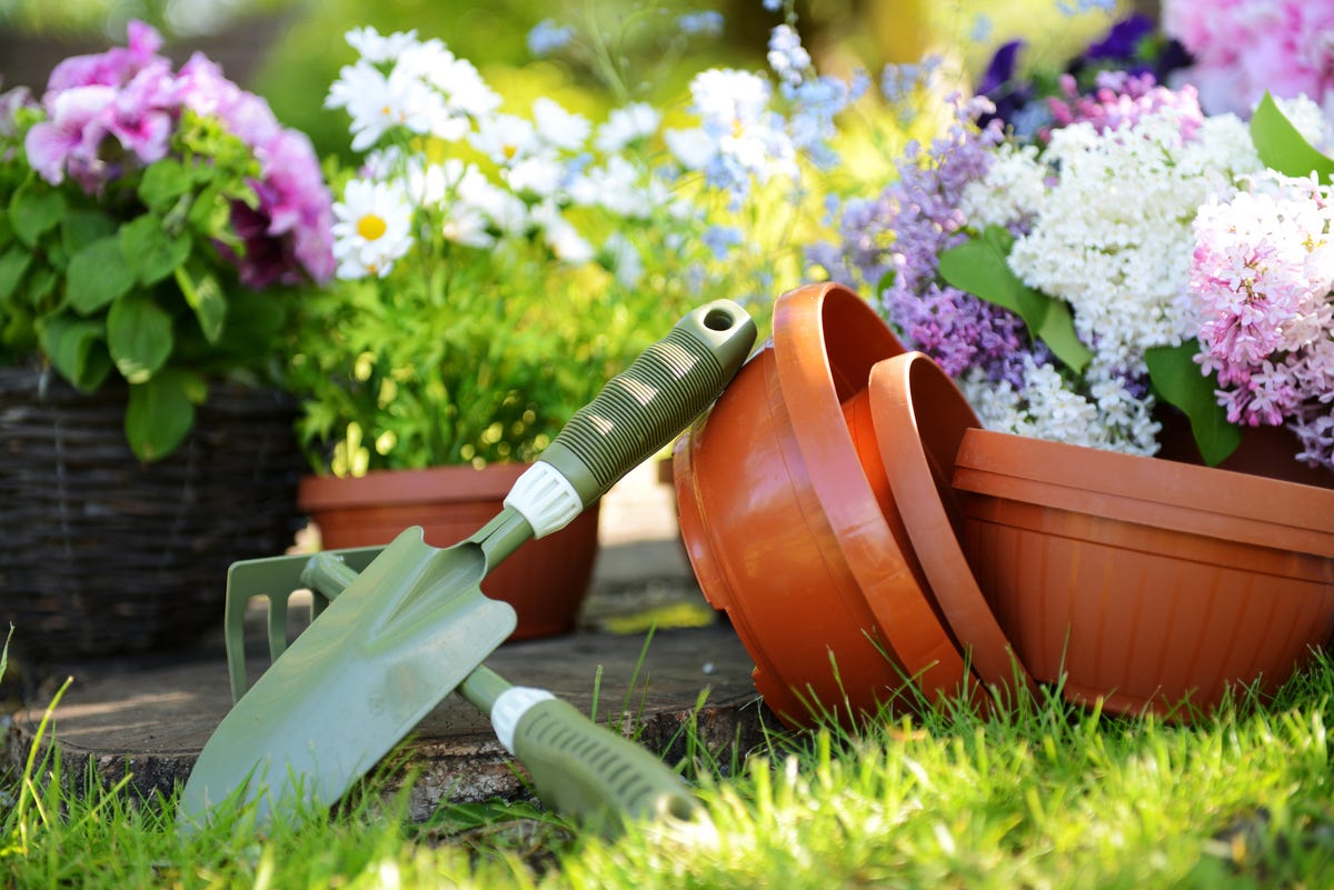 10 things organizers want you to toss from your backyard shed