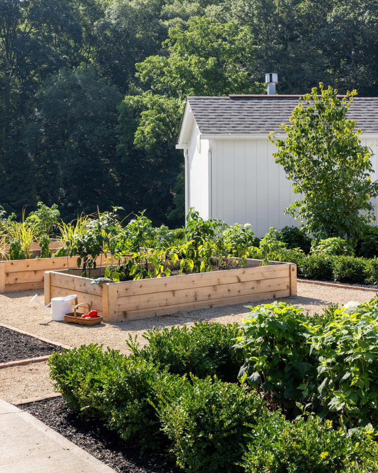 5 easy backyard upgrades that make your garden look more high-end