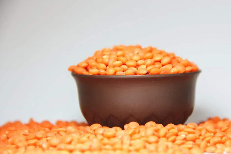 12 essential plant-based ingredients for a balanced diet