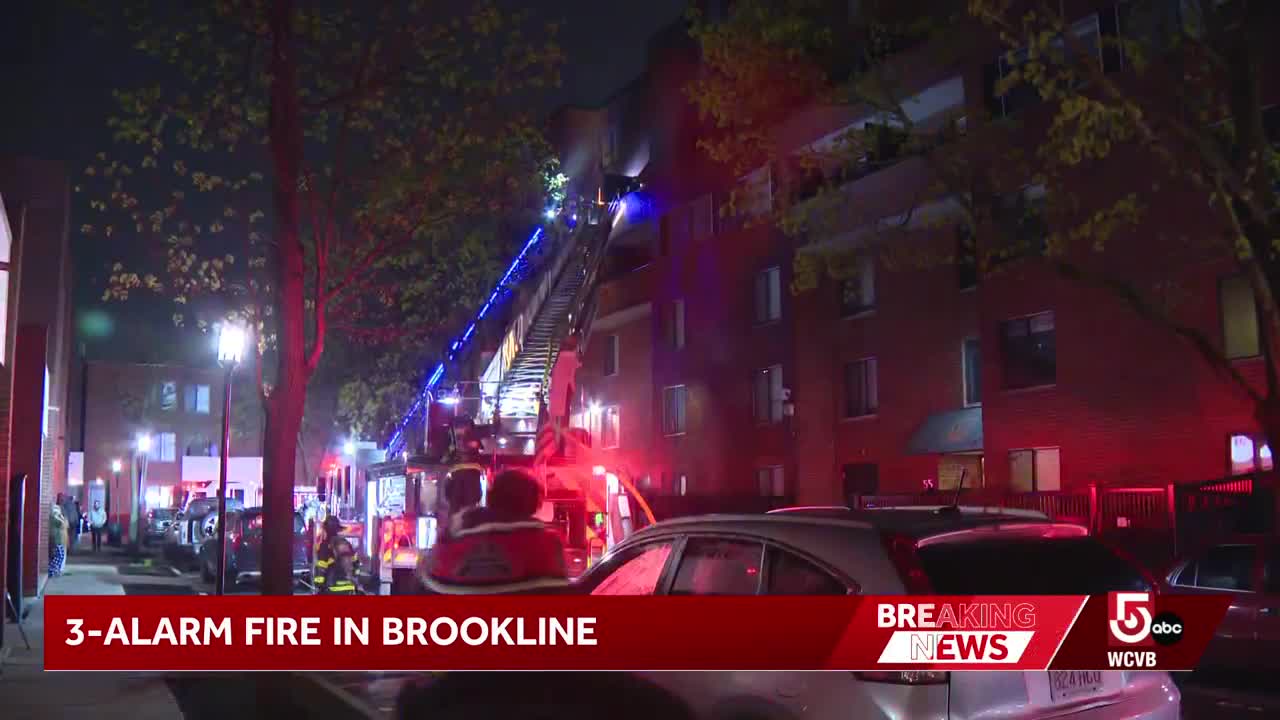 Man, dog rescued from fire at Brookline apartment