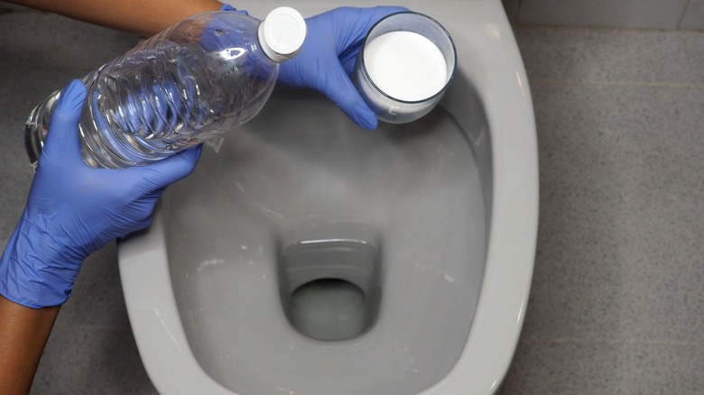The 12 best toilet cleaning hacks that'll make your bathroom sparkle