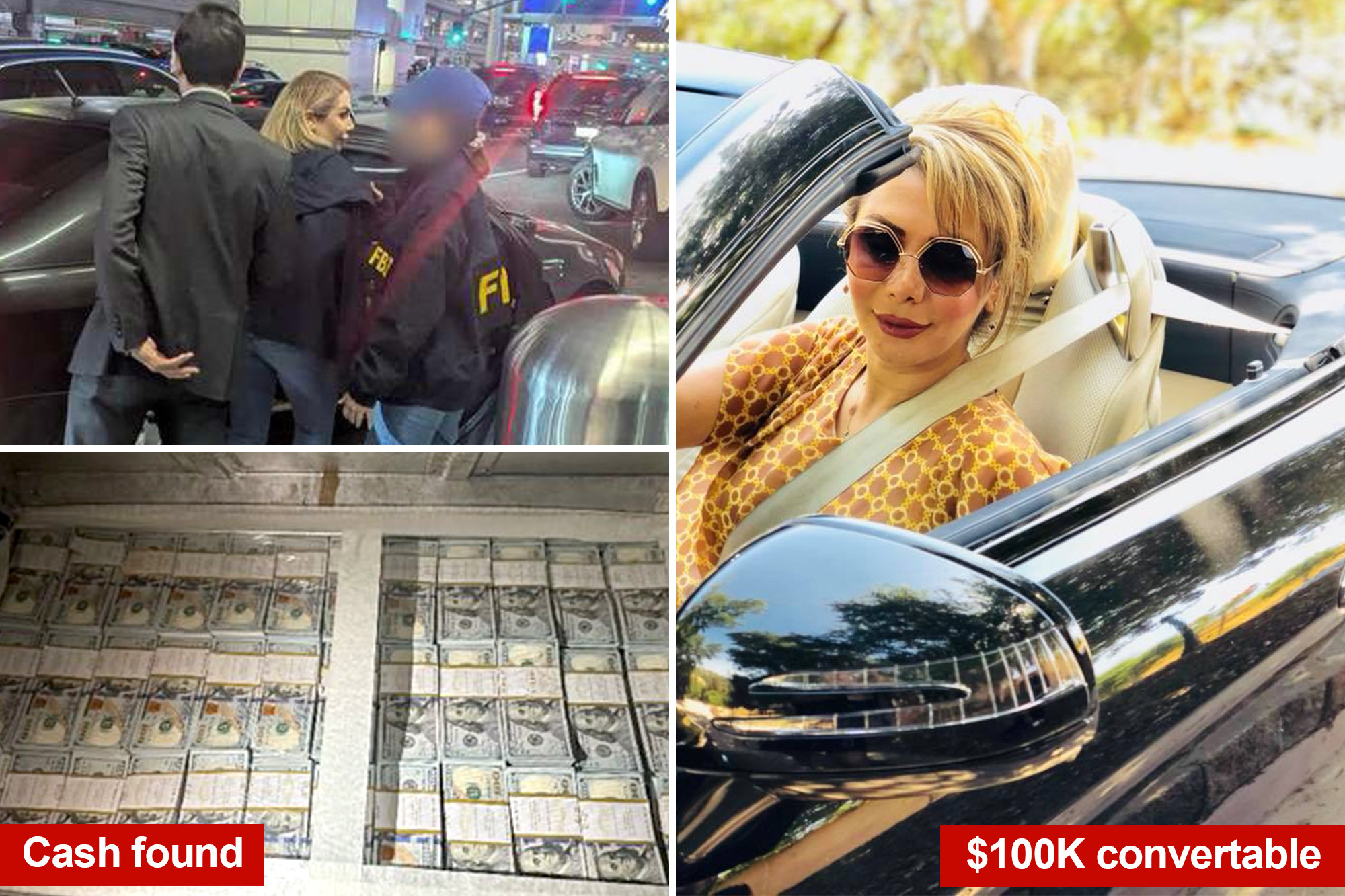 Glam Iranian businesswoman busted at LAX, charged with helping regime ...